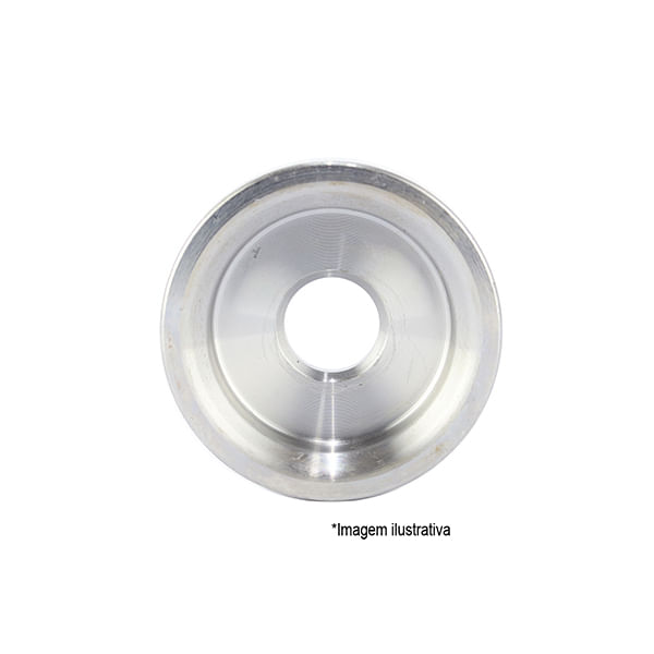 ARRUELA ASSENTO DIAFRAGMA BLOQUEIO DIFERENCIAL CAMINHÃO/ÔNIBUS VOLVO ...